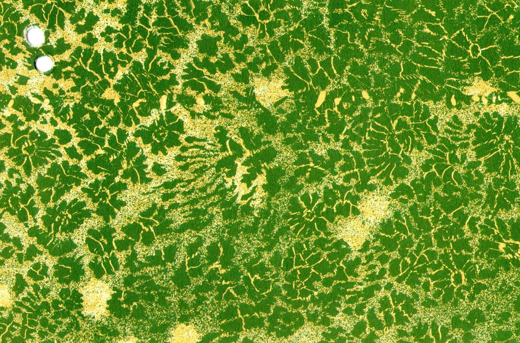 Verdi / Green | fabricharte